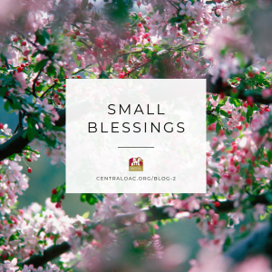 Small Blessings - Central Outreach & Advocacy Center